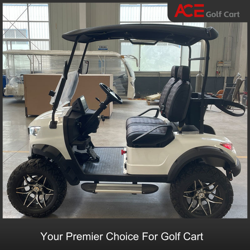 14inch Steel Frame Electric Golf Cart With 5kw AC Motor 80km Range 8h ...